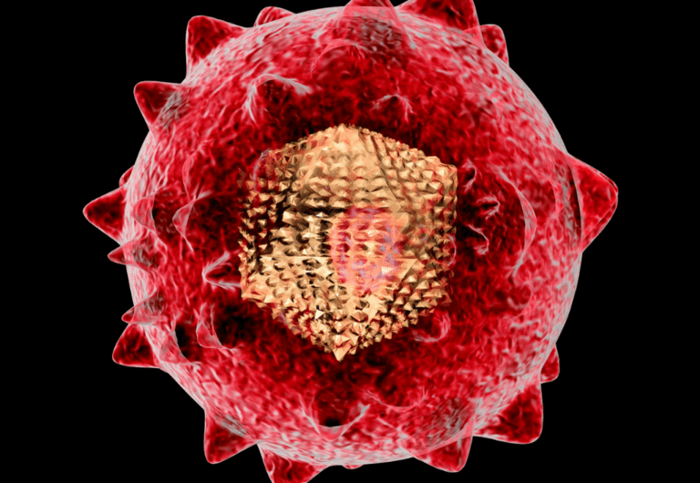 Hepatite C: Epidemiologia, Transmissão, Sintomas e Tratamento